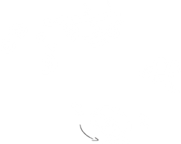 AppZap - Data Driven Restaurant