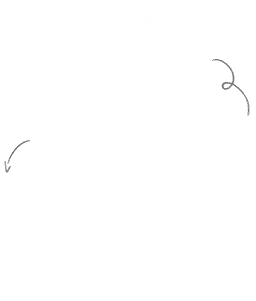 AppZap - Data Driven Restaurant